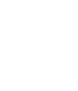 ダレノガレ明美プロデュース ランジェリーブランド GARRONE-ガロネ-